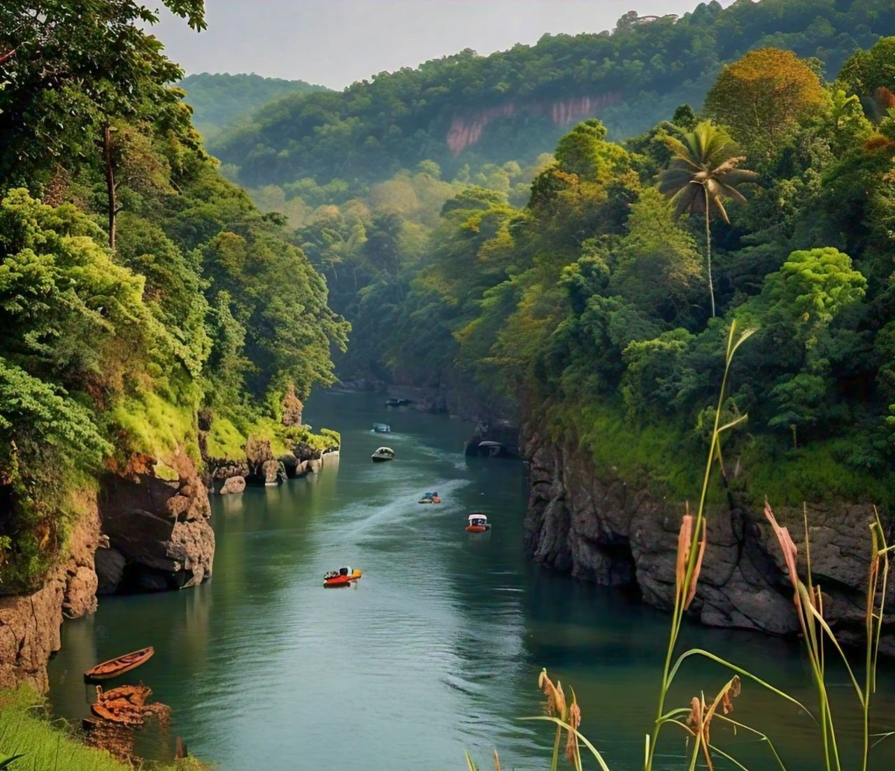 Dandeli River Resorts